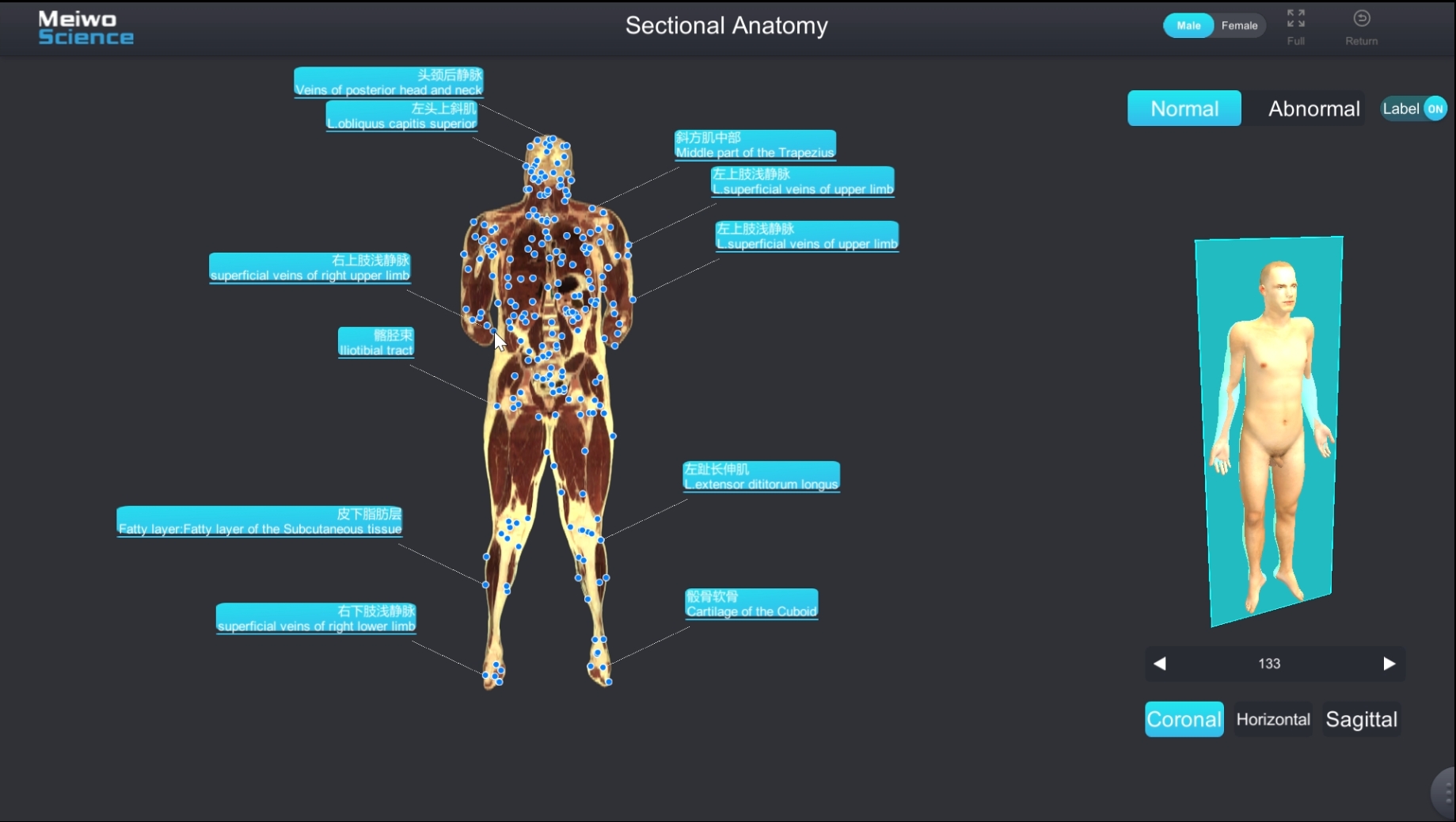3D Human Anatomy Software